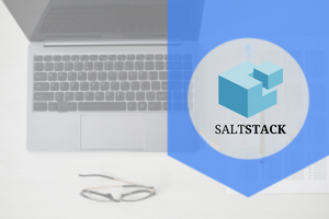 SaltStack | Thinknyx Assessments Platform